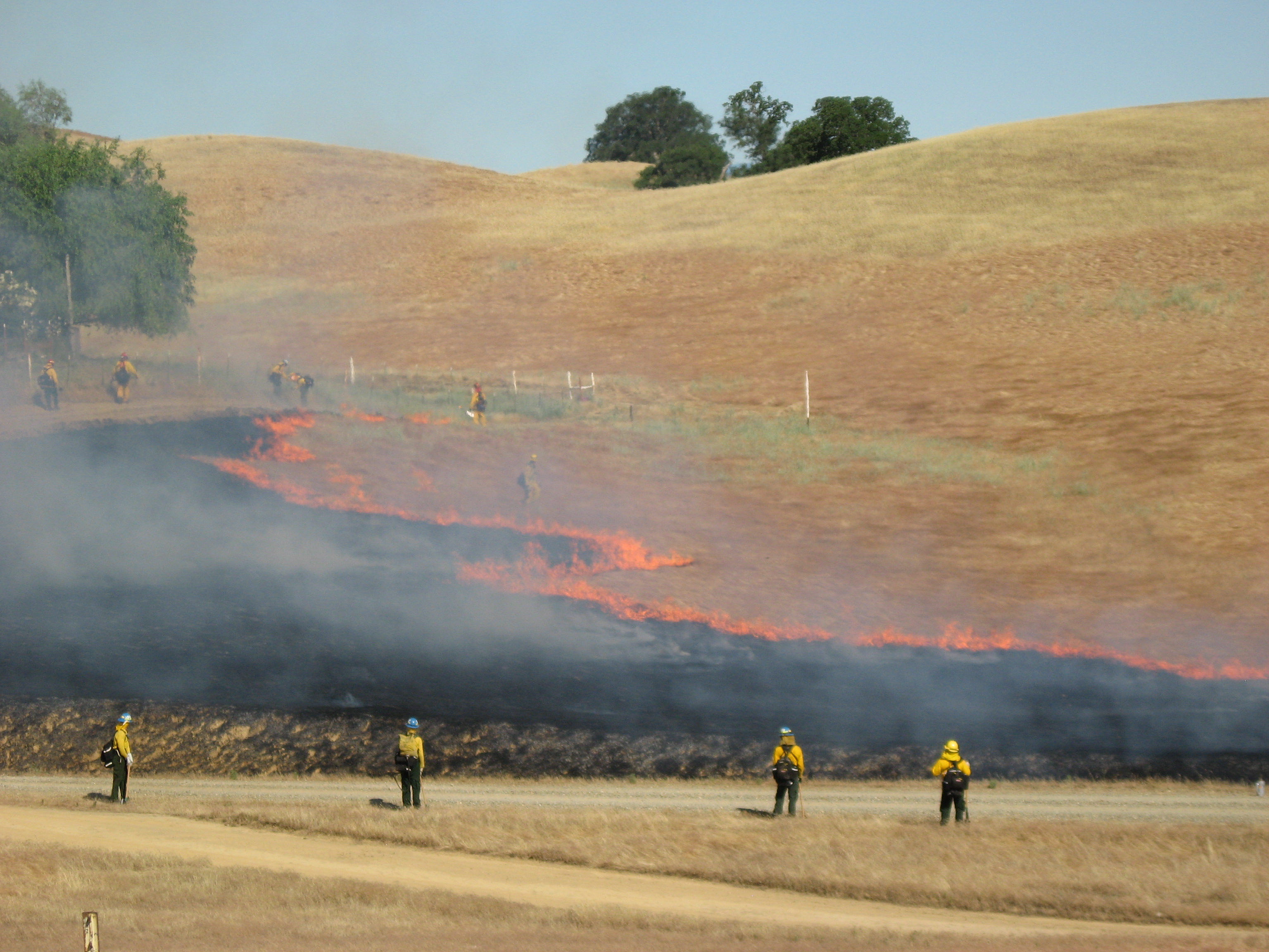 Environmental Documentation for Approved Projects